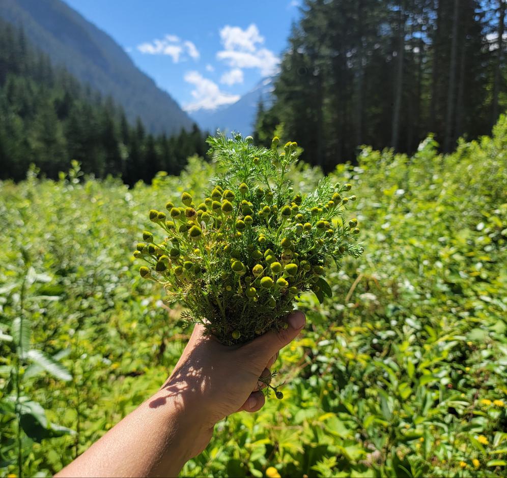 Prairie Face Mask – Boreal Folk